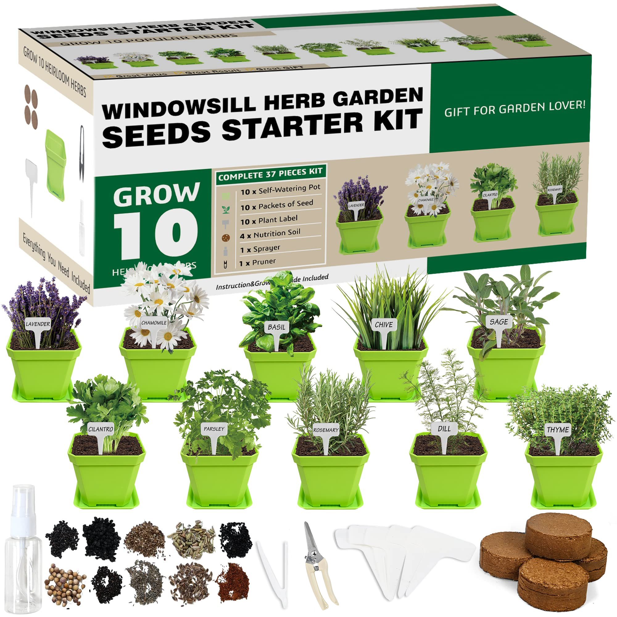 10 Herb Seeds Garden Starter Grow Kit with Green Pots, Markers ...