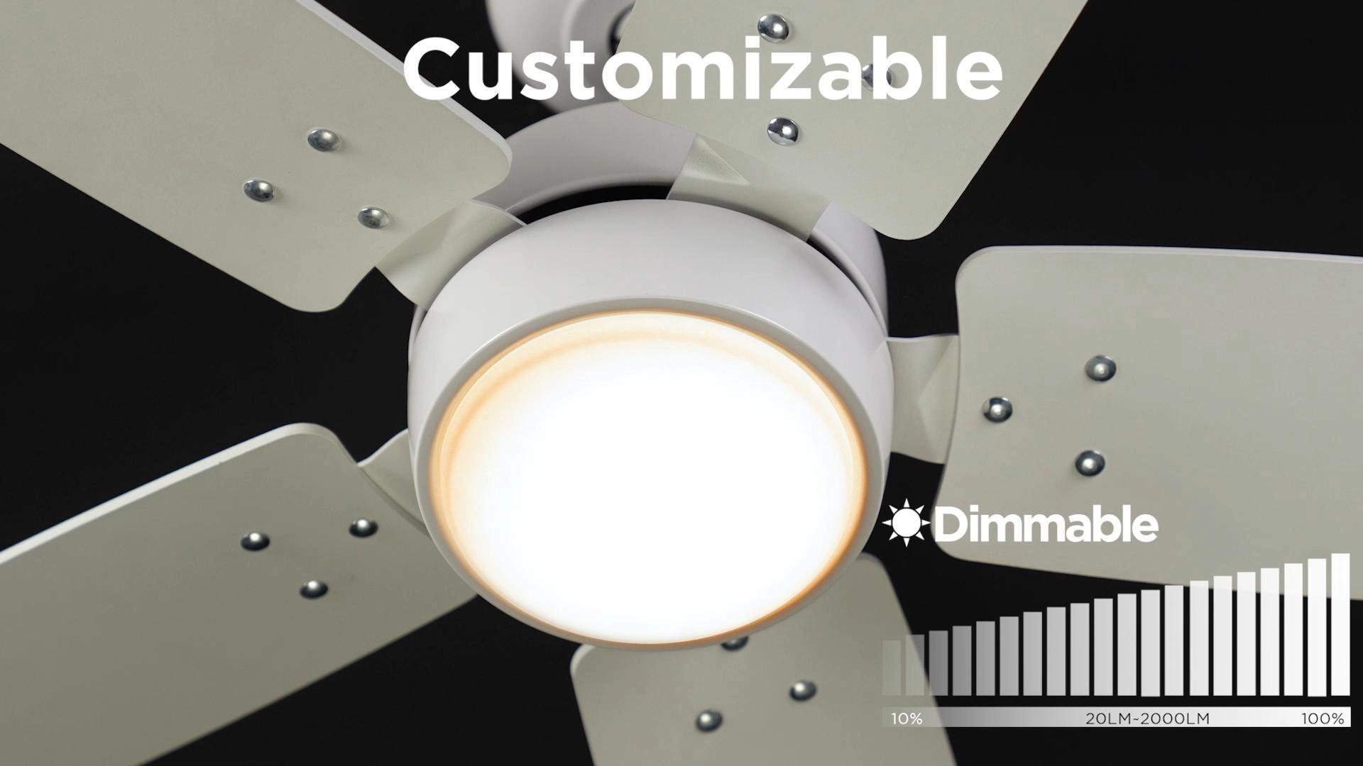 Vagizm 36-Inch Matte White Modern LED Downrod Mount Indoor Ceiling Fan ...