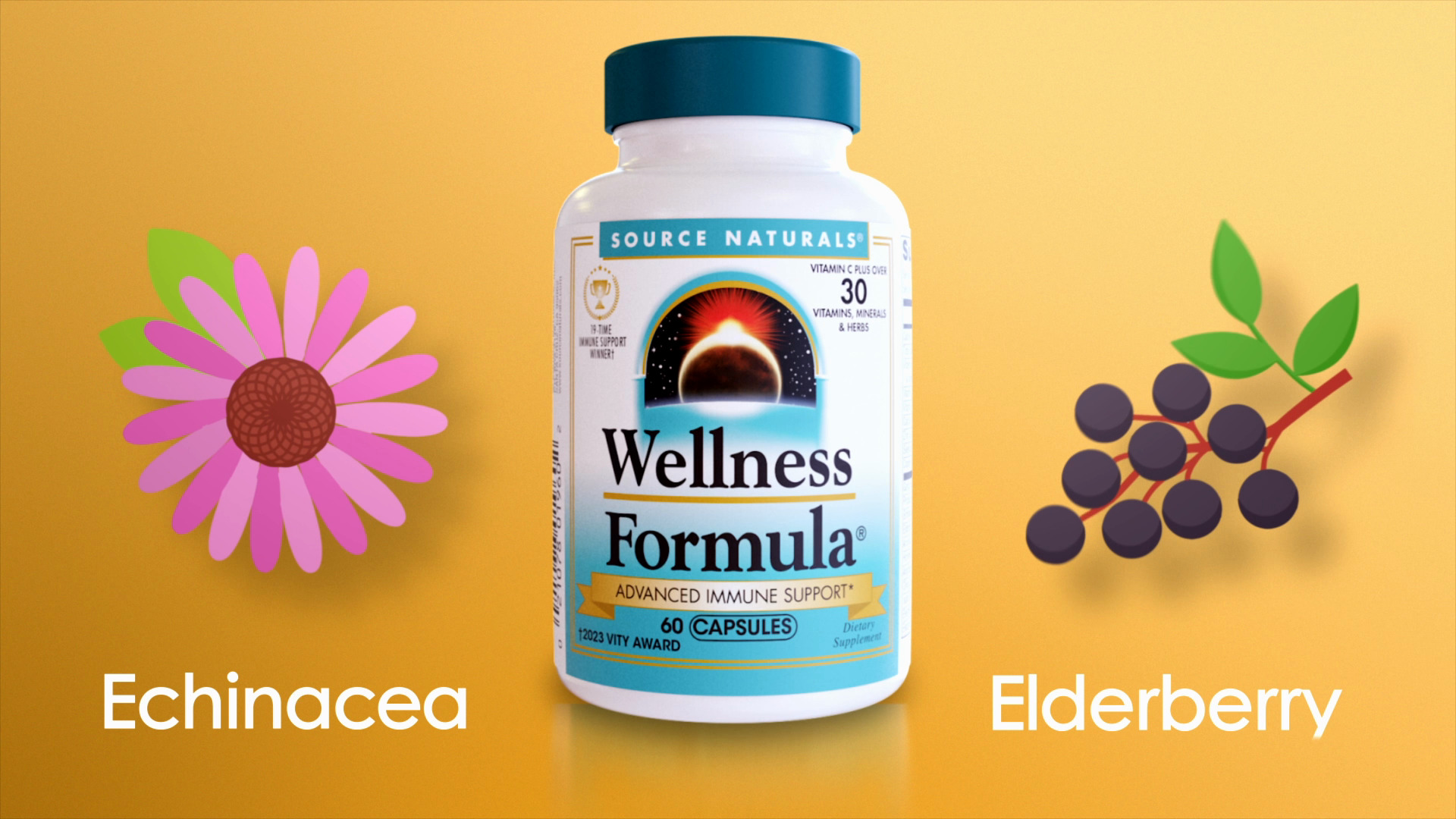 Source Naturals Wellness Formula Bio-Aligned Vitamins & Herbal Defense ...