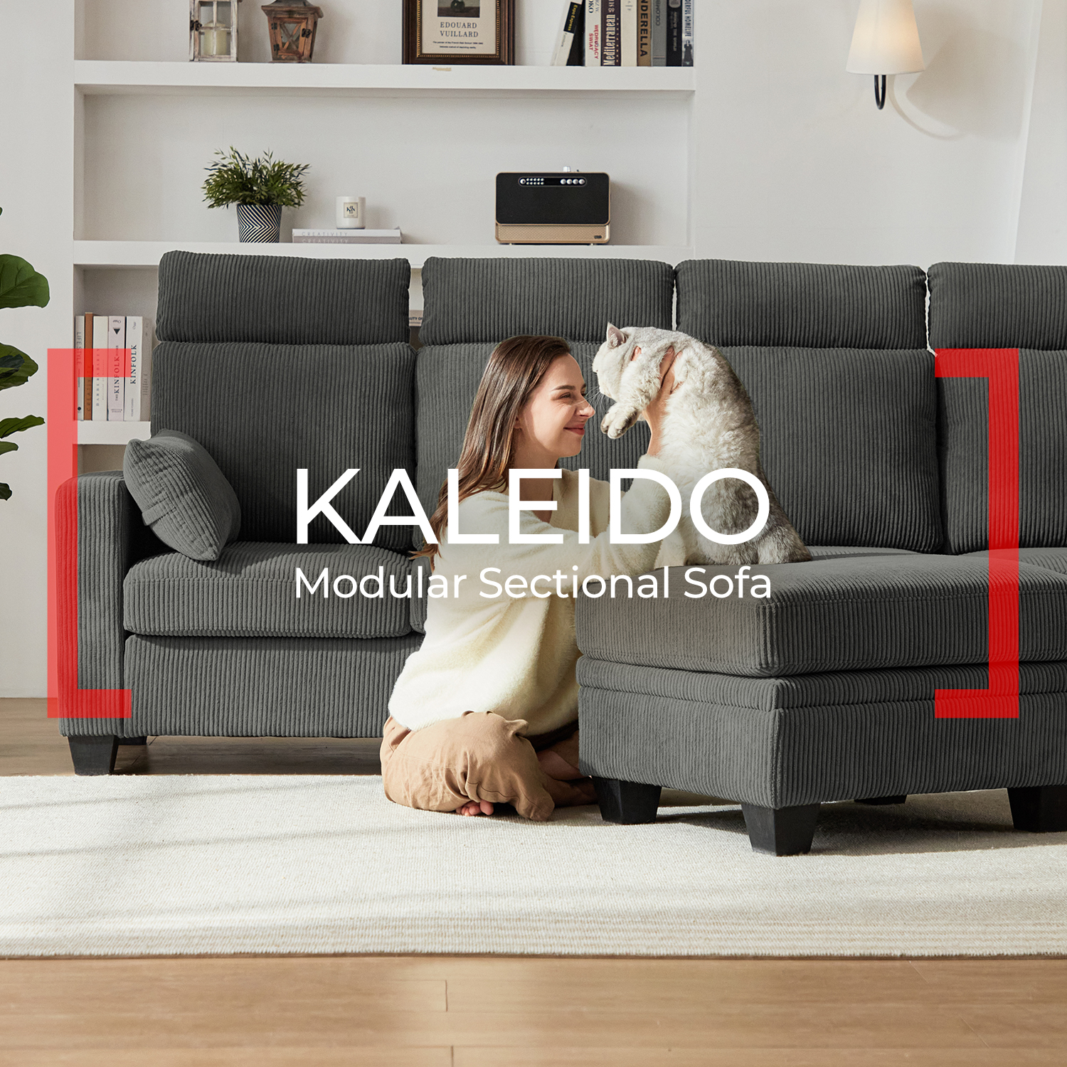 Couches for sale at house and home store