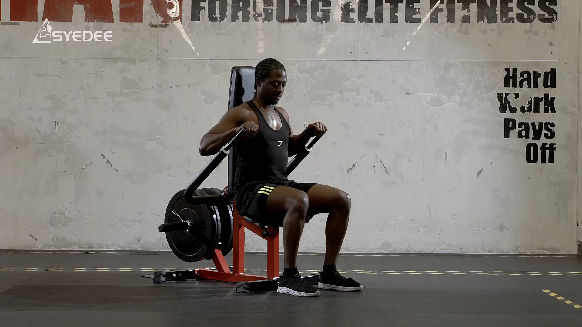 syedee Seated Dip Machine, 400lbs Plate-Loaded, Adjustable Tricep Chest ...