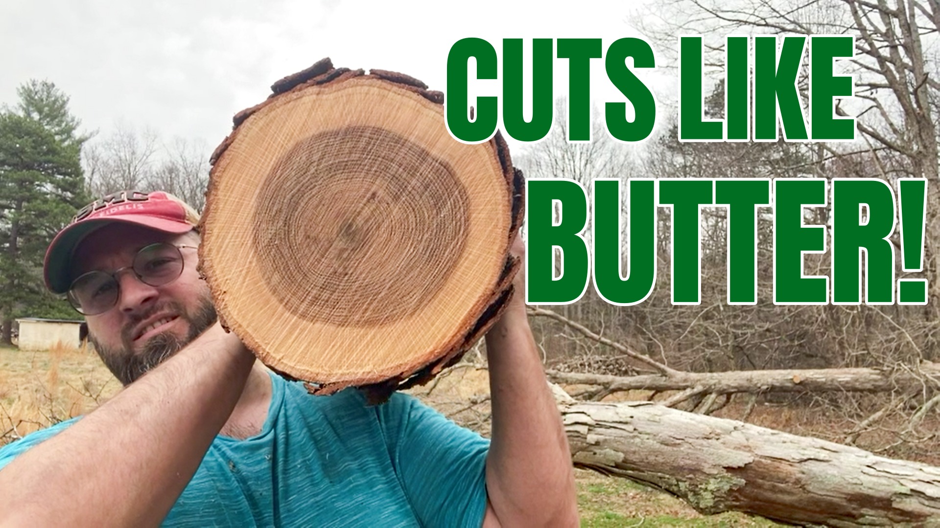 KAKEI Stihl Chainsaw Chain 16 Inch 3/8" LP Pitch .043" Gauge 55 Drive ...