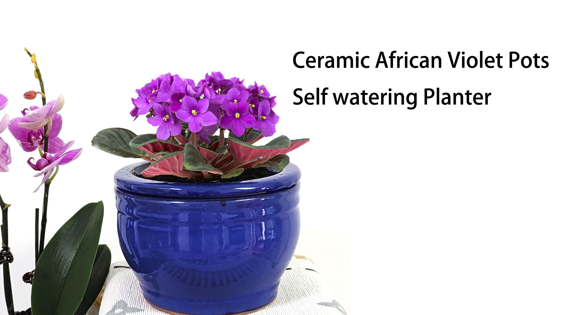 Dphagesy African Violet pots 6 in Round Blue Ceramic Violet Pot with ...