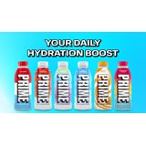 Prime Hydration 12x16.9oz - Walmart Business Supplies