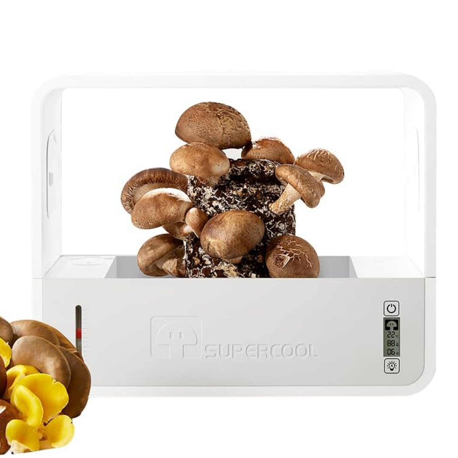 Smart Mushroom Growing Kit with Auto Light & Humidity Control ...