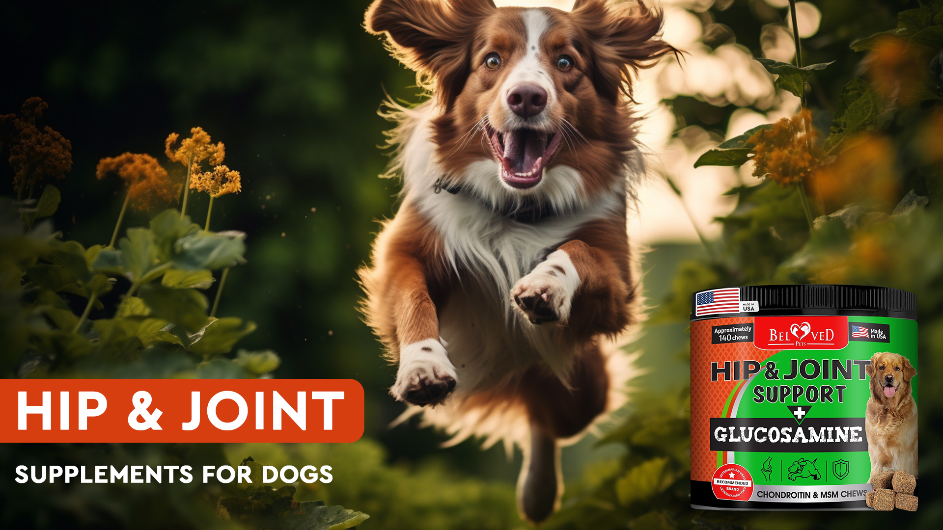 Beloved Pets Dog Hip & Joint Soft Chews with Glucosamine, Chondroitin ...