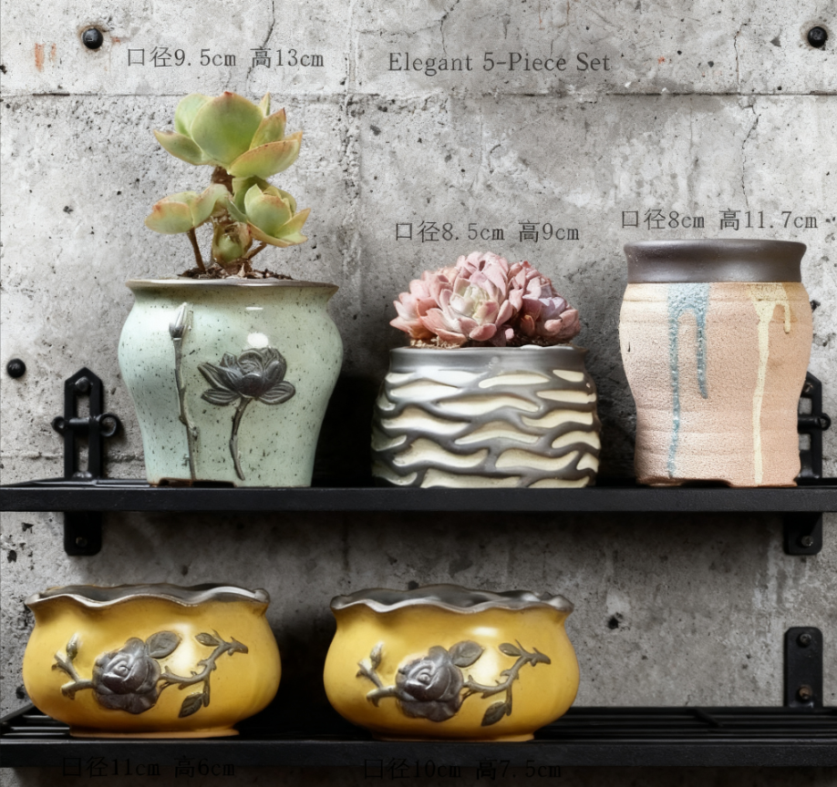 Set of 6 Mini Succulent Ceramic Pots in Farmhouse Style with Mixed ...