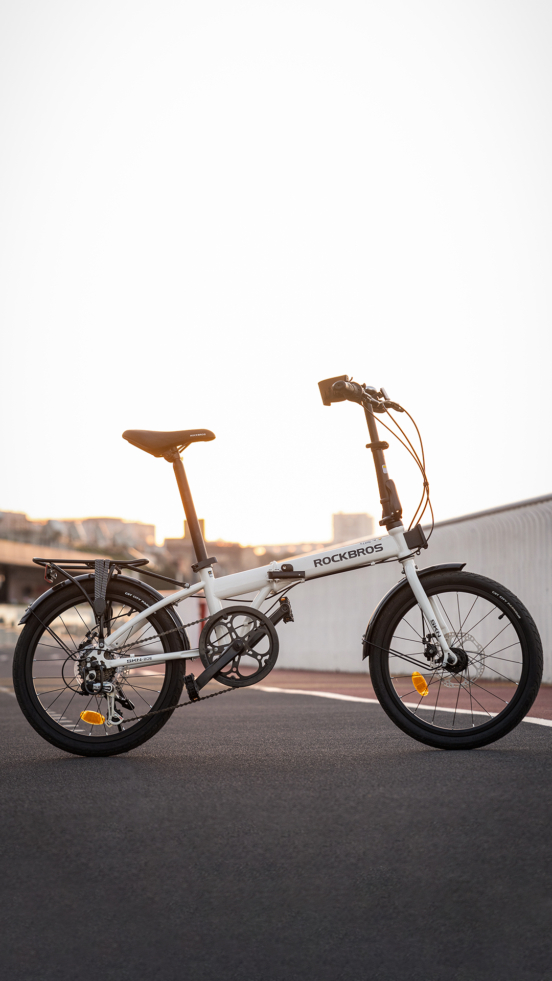 ROCKBROS SKN Folding Bike 20" Sports City Racing Bike Hight-Carbon ...