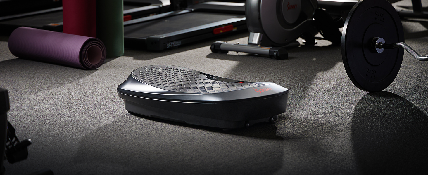 Sunny Health & Fitness Fitboard 4D Vibration Platform Exercise Machine ...