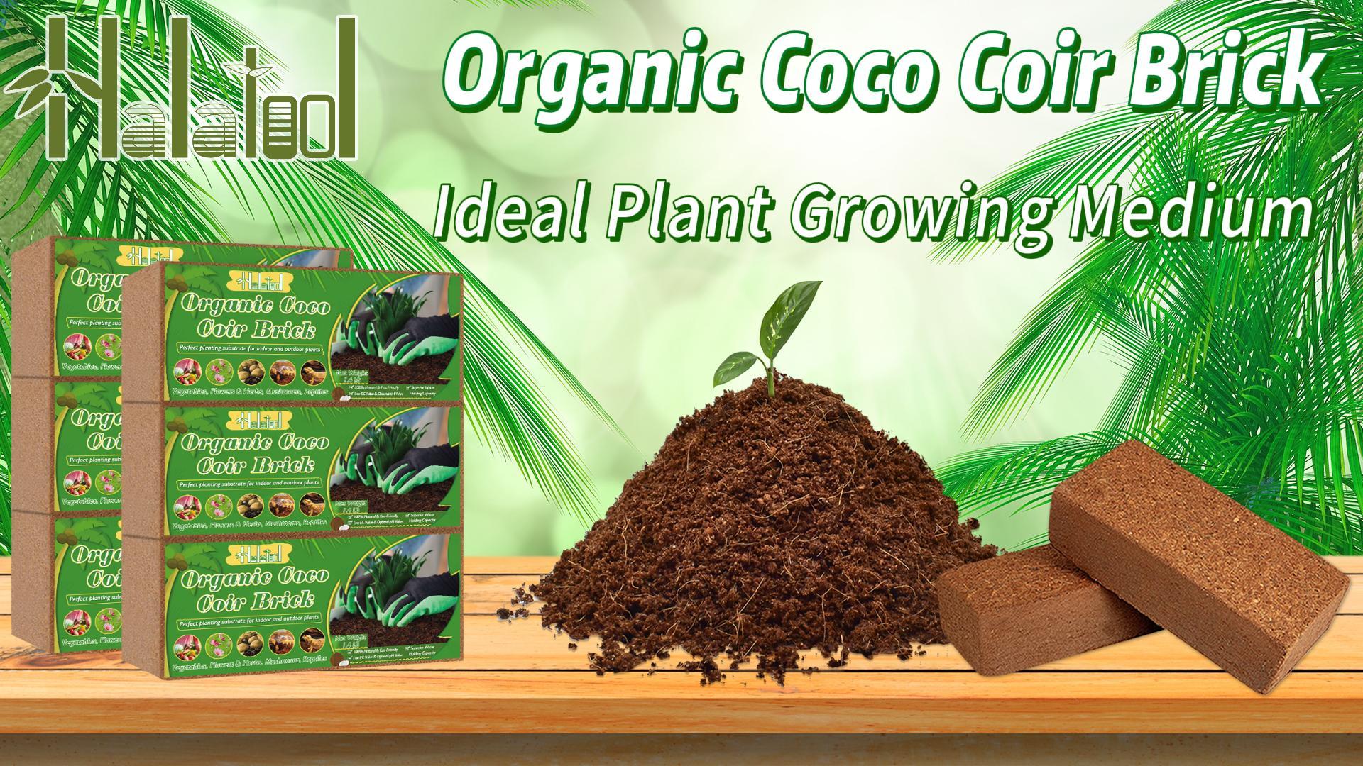 Halatool 10LB Organic Coconut Coir Bricks, Compressed Coco Fiber ...