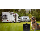 Waggle Wireless Temperature Monitor, 4G Sensor, RV Power Outage Alerts ...
