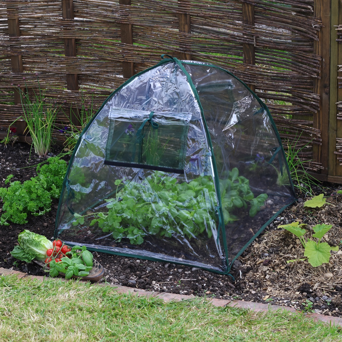 Tierra Garden Easy Poly Dome with Air Vents, 36"L x 36"W x 37"H ...