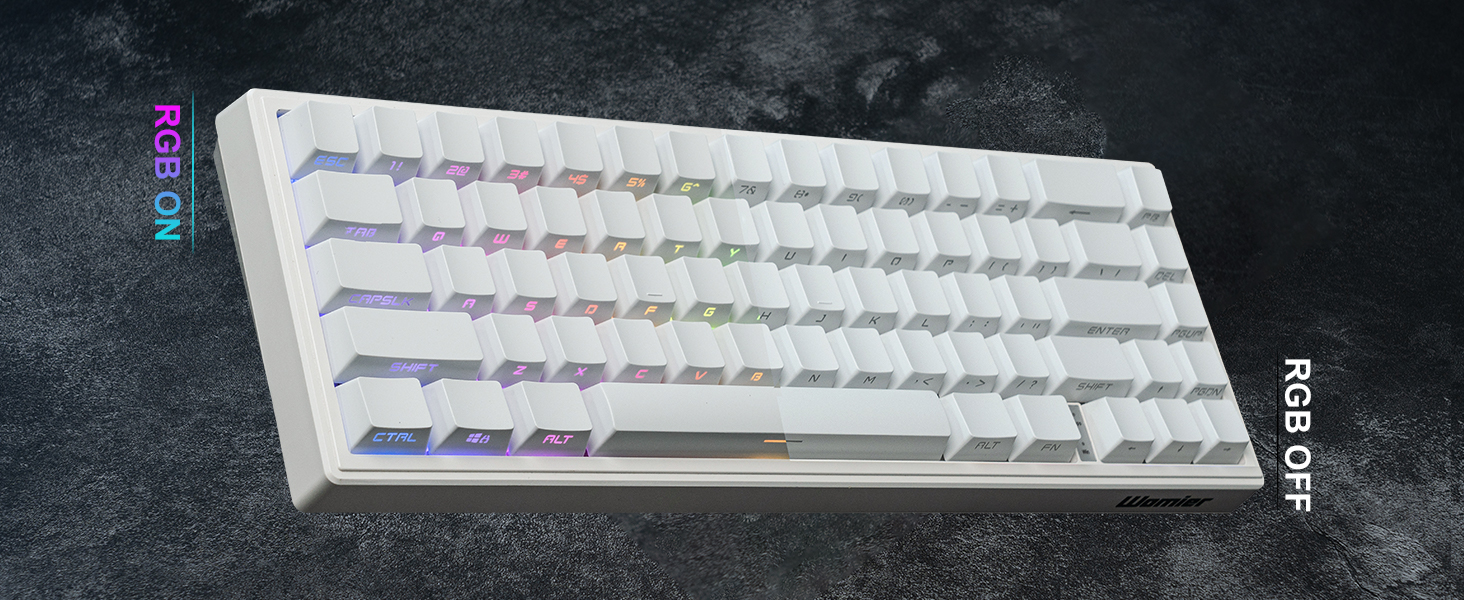 COSTOM 123 Keycaps, Side Print PBT Keycap 60 65 75 100 Percent, Shine ...