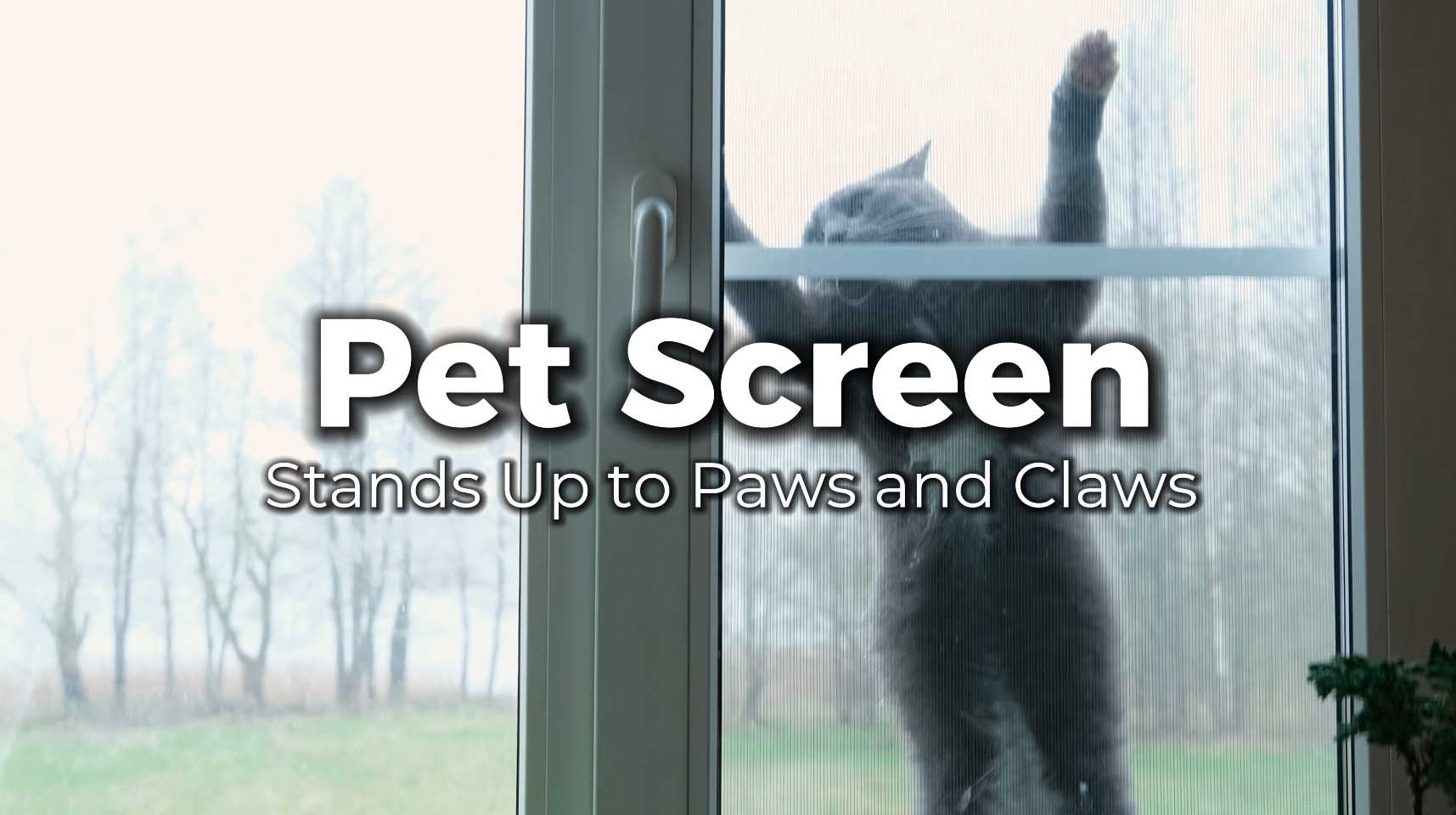 Pet Screen Extra-Strength Mesh Kit (48 in x 100 ft) - Dog & Cat Proof ...