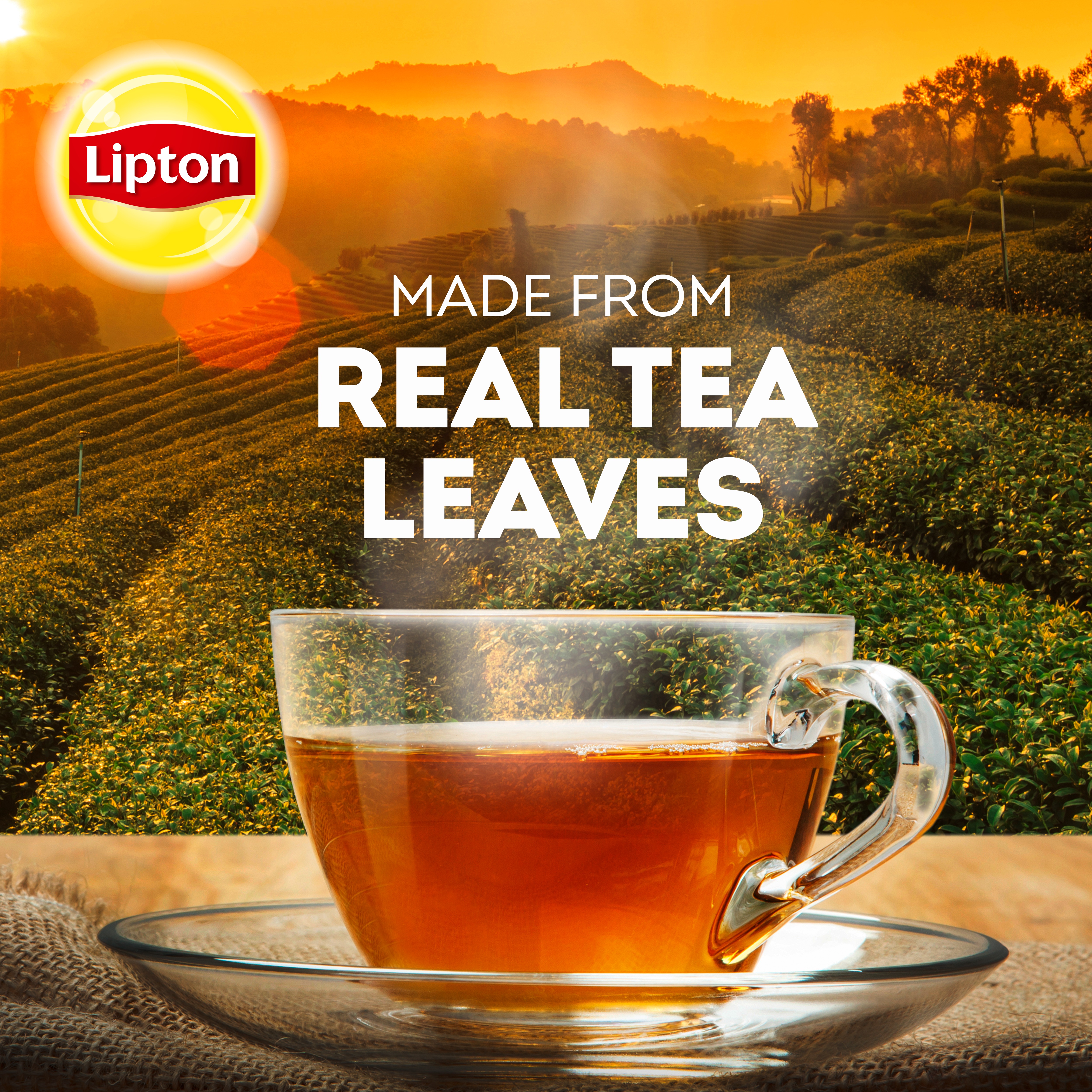 Lipton Natural Regular Black Tea Bags, 100 Ct - Walmart.com