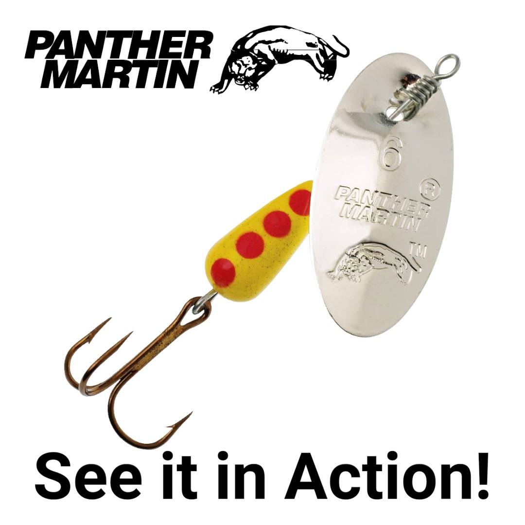 (2 pack) Panther Martin PMR_6_S Classic Regular Teardrop Spinners ...