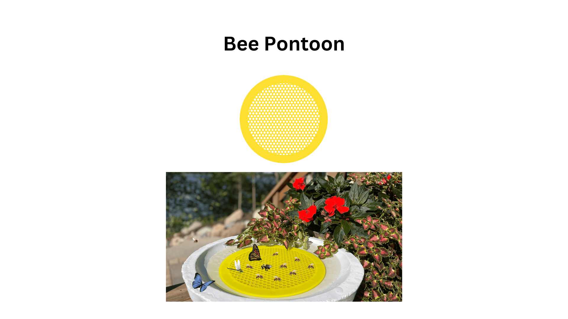 Bee Watering Station | Pontoon Waterer Feeder for Bees, Butterflies ...