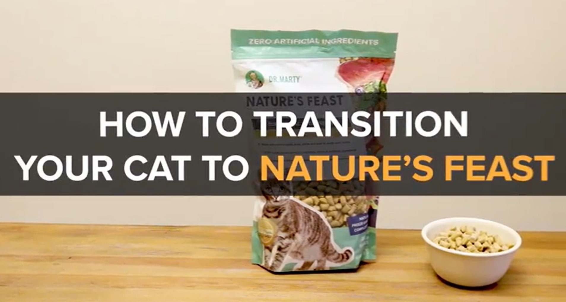 Dr. Marty Nature's Feast Natural Freeze-Dried Raw Cat Food, Essential ...