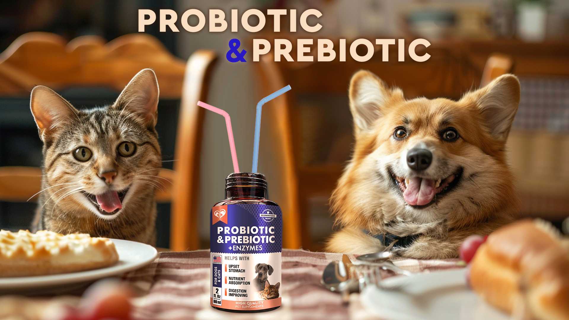Beloved Pets Probiotics Prebiotics Enzymes for Dogs and Cats Digestive ...