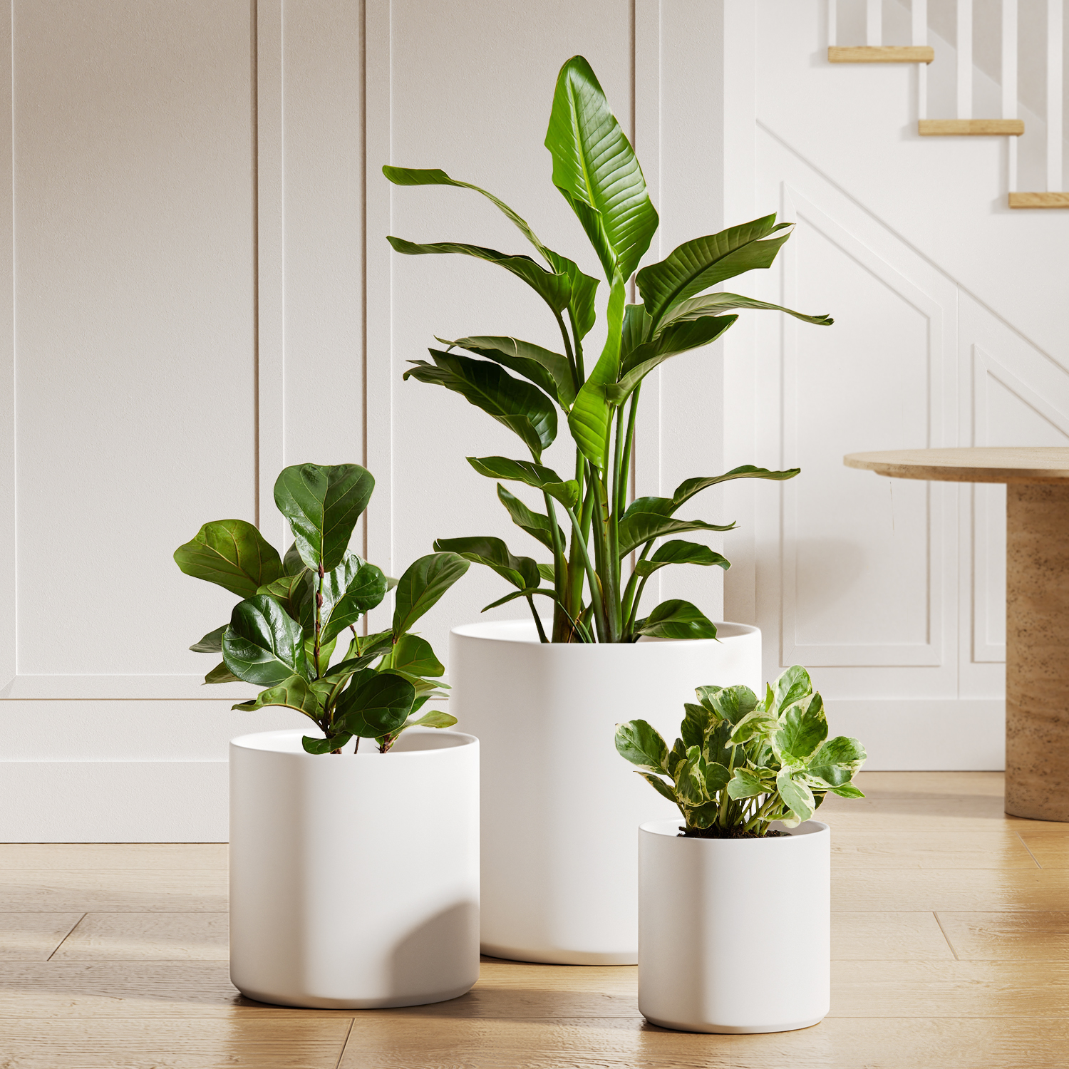 "BEMAY 12"" Large Ceramic Plant Pot, Mid-Century Modern Planter with ...