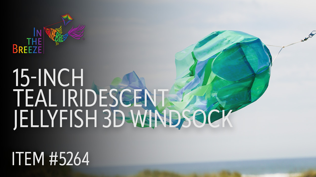 In the Breeze 5264 — 18-inch Teal Iridescent Jellyfish 3D Windsock ...