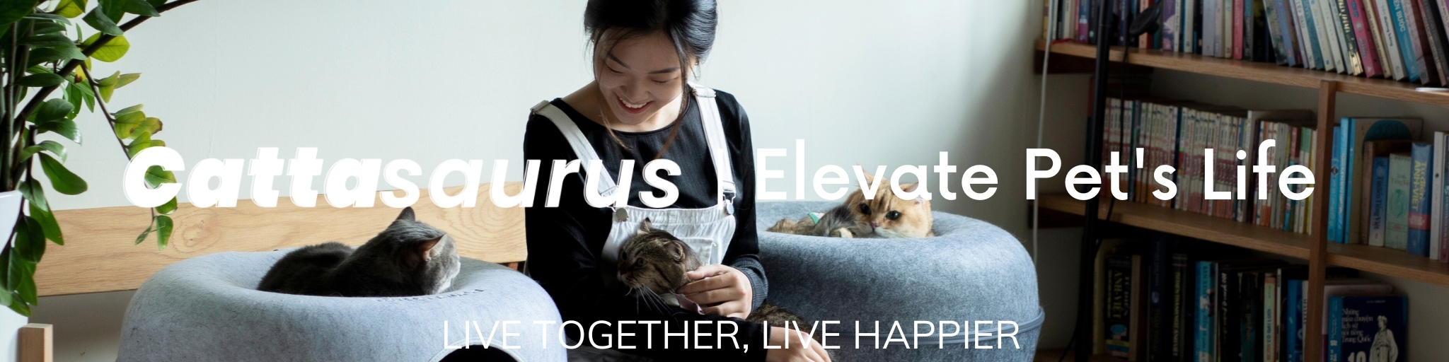 Cattasaurus Peekaboo Cat Cave Tunnel Bed for Cats up to 30 lbs (Pink, Large) - Walmart.com