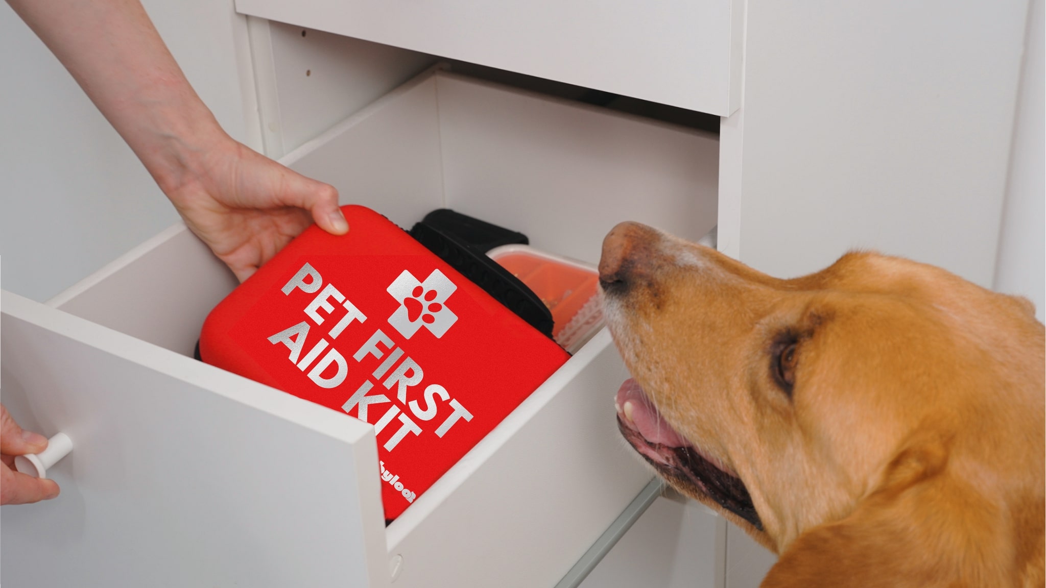 Rubyloo Pet First Aid Kit, 53 Piece Vet-Approved Emergency Kit for ...