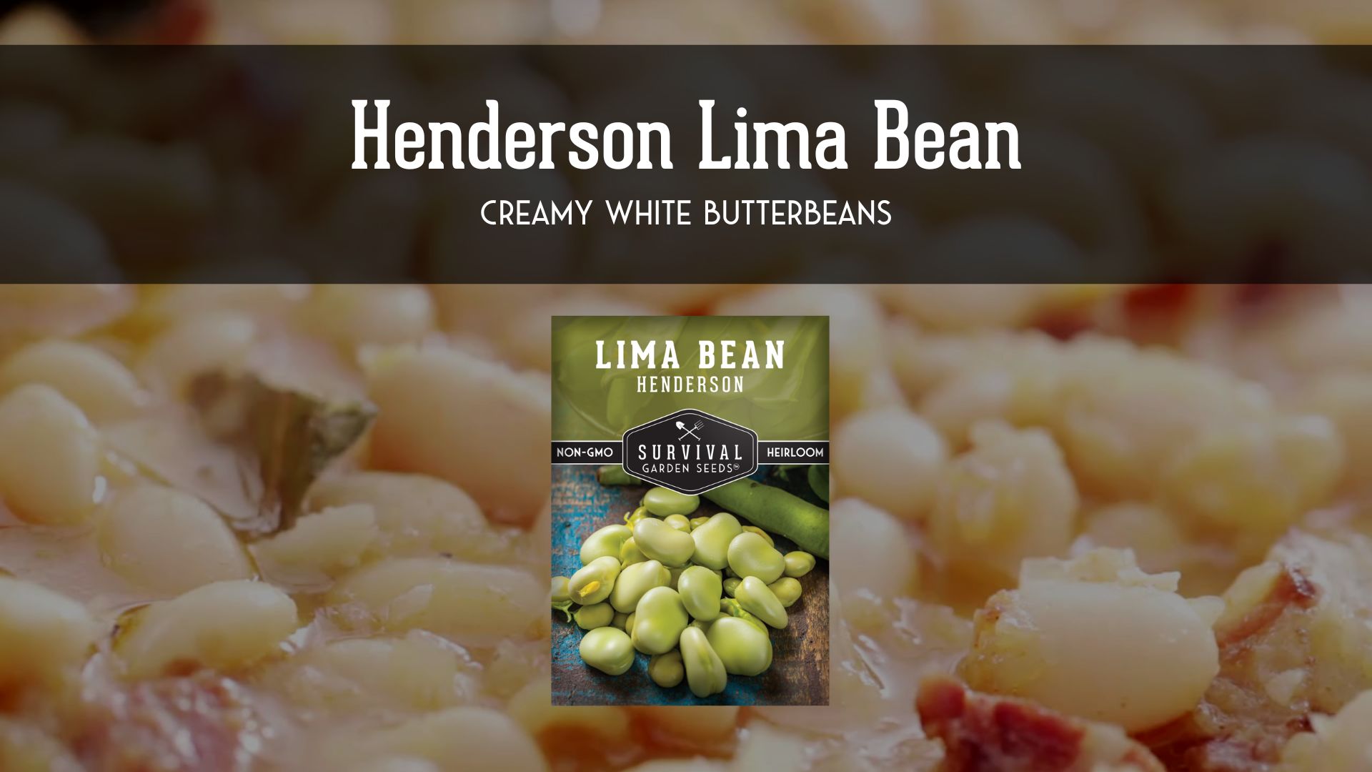 5 Packs Early Baby Dry Butter Henderson Lima Bean Seed - Non-GMO ...