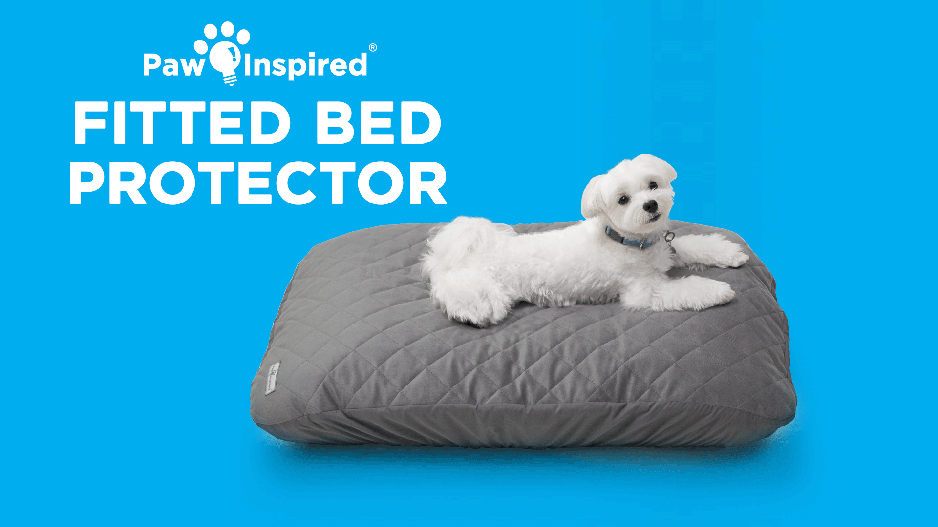 Paw Inspired 36 x 27 x 5 in Dog Bed Cover Replacement Washable ...