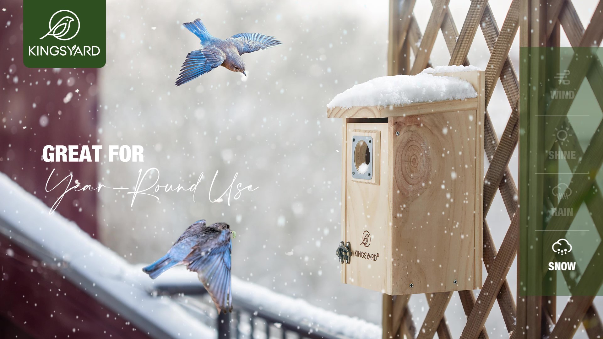 Kingsyard Bluebird House, Classic Wooden Birdhouse with Predator Guard ...