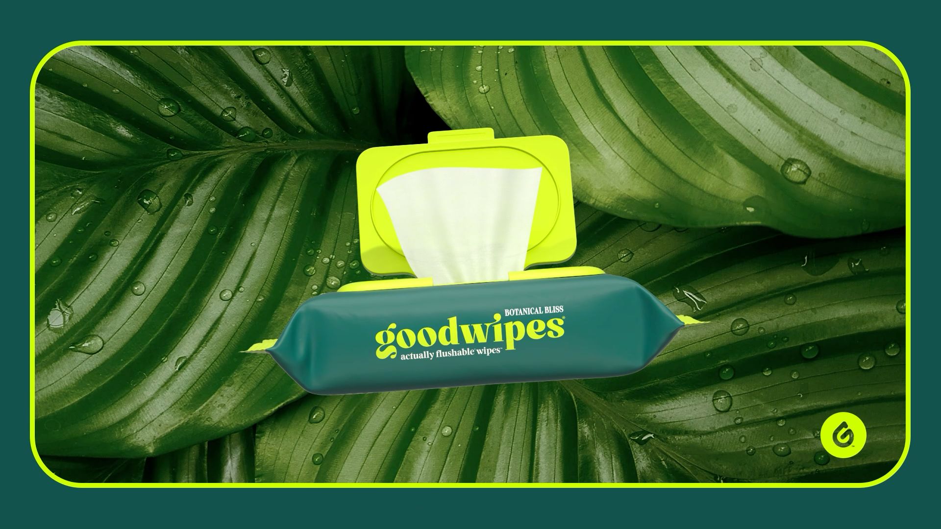 goodwipes Flushable Butt Wipes, Botanical Bliss Scented, 3 Pack, 150 ...