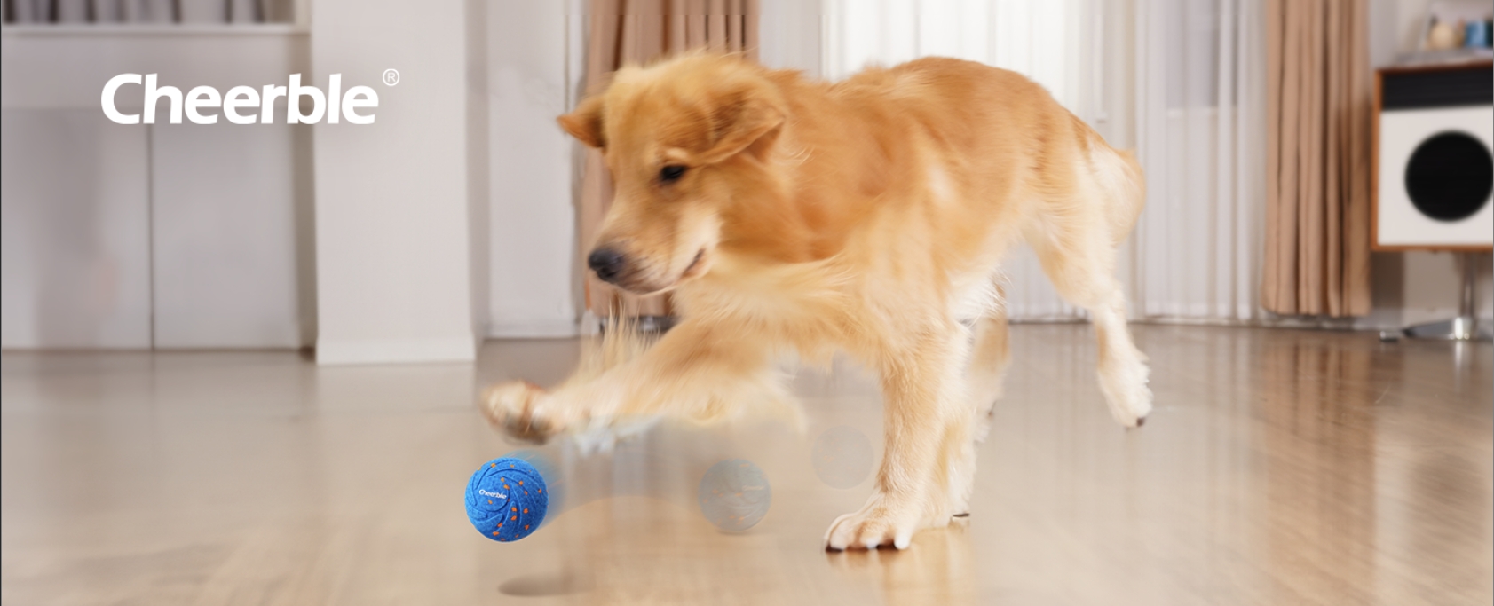 Cheerble Smart Interactive Dog Toy, Wicked Ball AIR, Automatic Moving ...