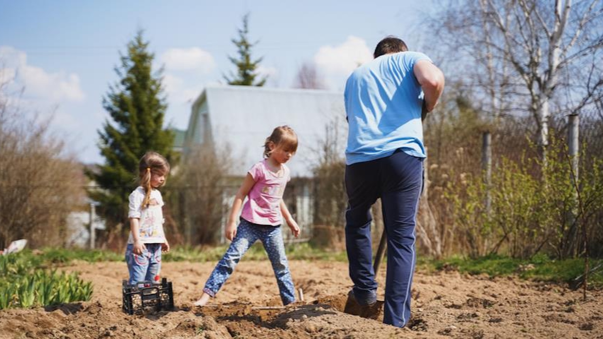 DrainFix & Septic Restorer, Septic Tank Treatment, Bac Enzyme Drain ...
