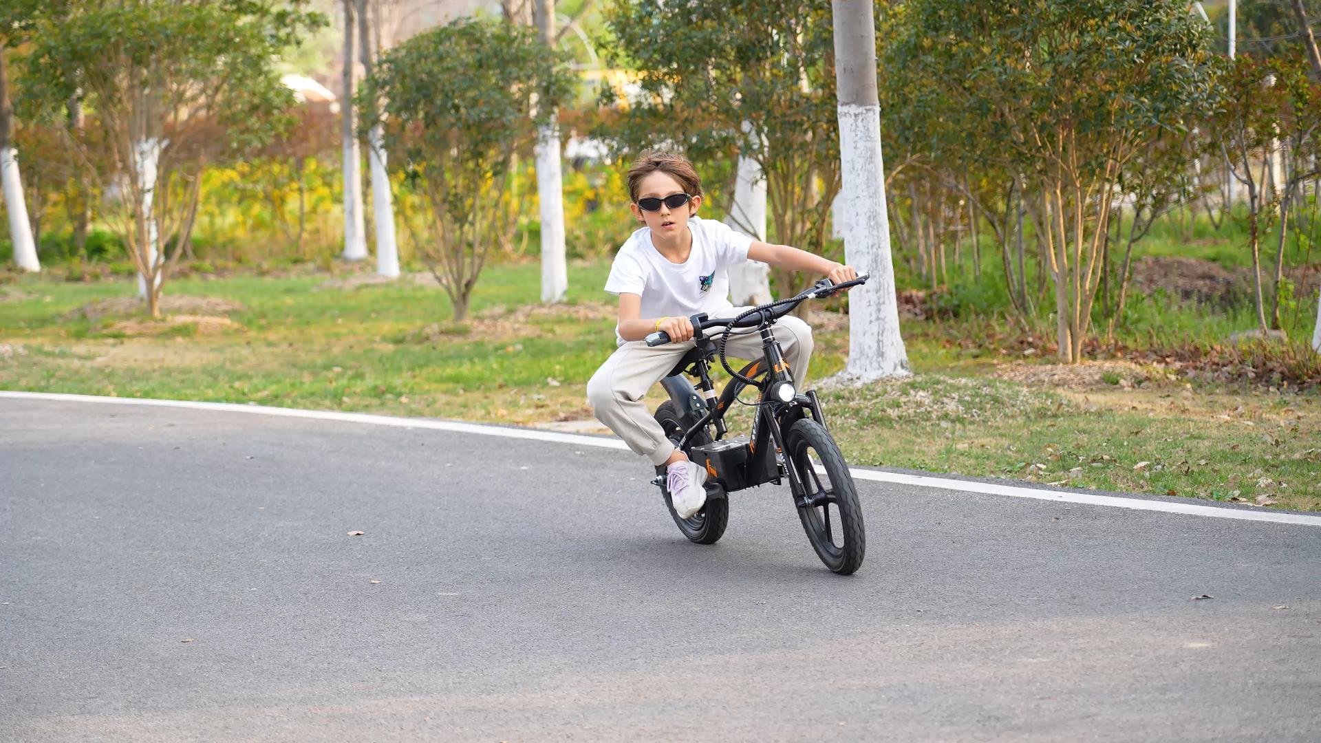 Dvsripa 24V Kids Electric Dirt Bike,300W Super Power Motor,Max 12.43MPH ...