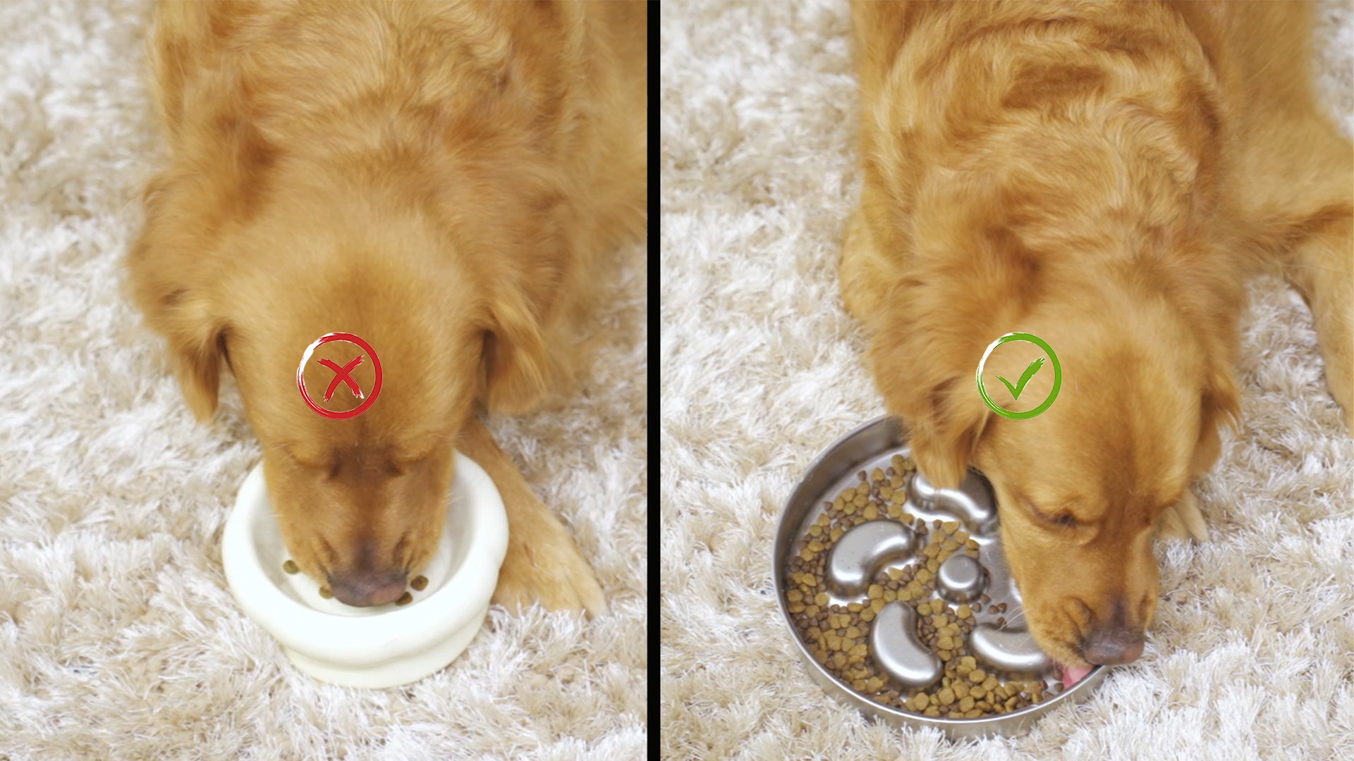 Feedoo 2-Cup Stainless Steel Slow Feeder Dog Bowl - Anti-Choking, Non ...