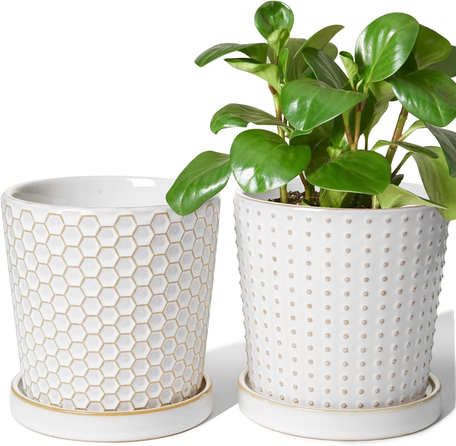 "BEMAY Indoor Decorative Planters, 5.5"" White Ceramic Flower Pots with ...