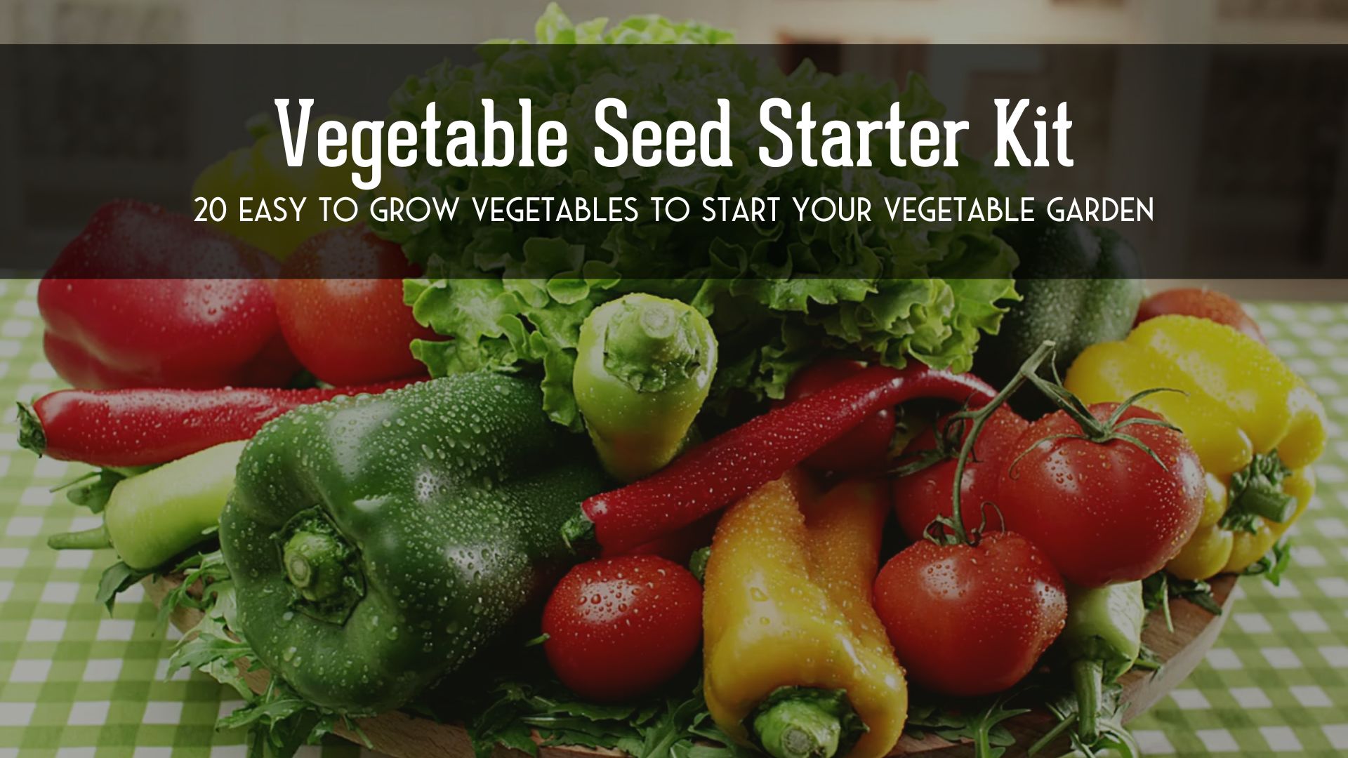 20 Pack Vegetable Starter Kit Seed Vault - Beginner Friendly Heirloom ...