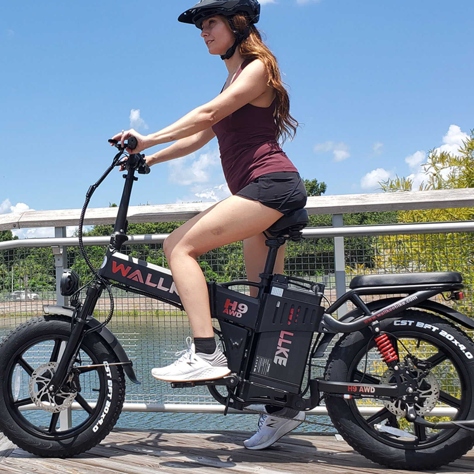 Wallke Electric Bike for Adults,48V 40AH Battery,3200W Peak Dual Motor ...