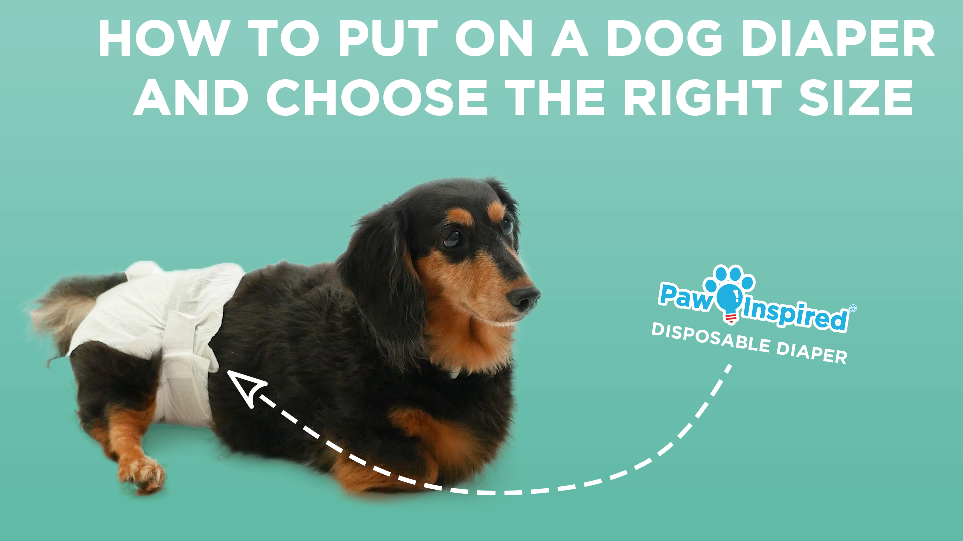 Free Shipping! Paw Inspired Disposable Dog Diapers Female for Comfort ...