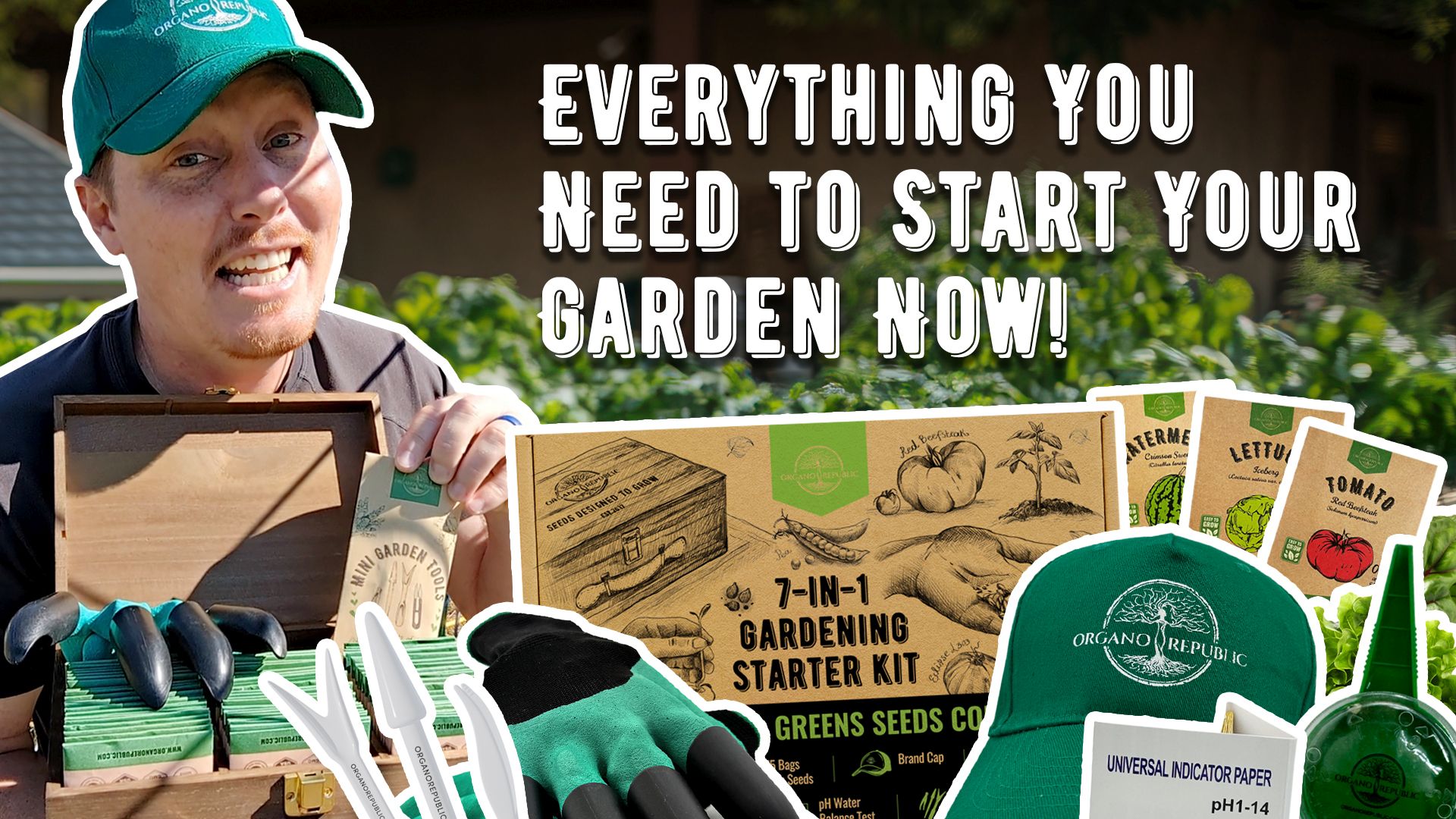 75 Vegetable & Greens Seeds Kit - 44,700+ Non-GMO Heirloom Seeds ...