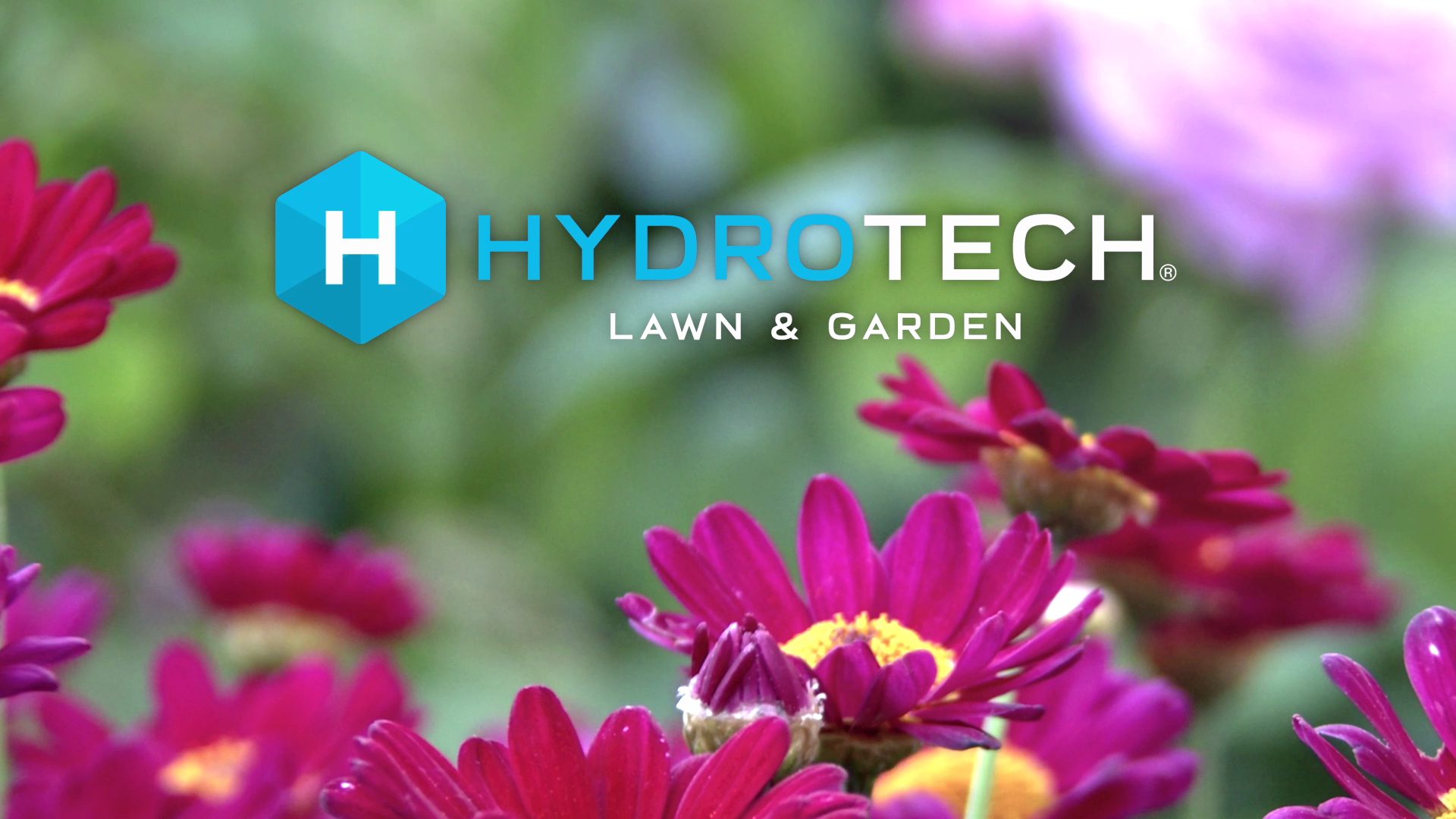 HydroTech Burst Proof Expandable Garden Hose - Water Hose 5/8 in Dia. x ...