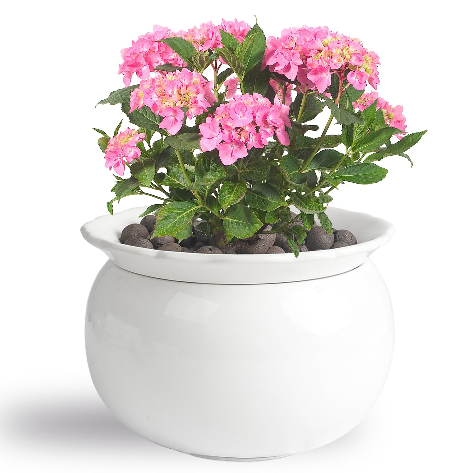 BUYMAX 6" Self-Watering Ceramic African Violet Pot , Kiln Glazed Blue ...