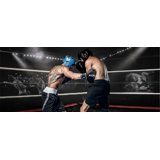 "RDX TKD Chest Guard MMA Body Protector – Reversible Blue/Red Rib ...