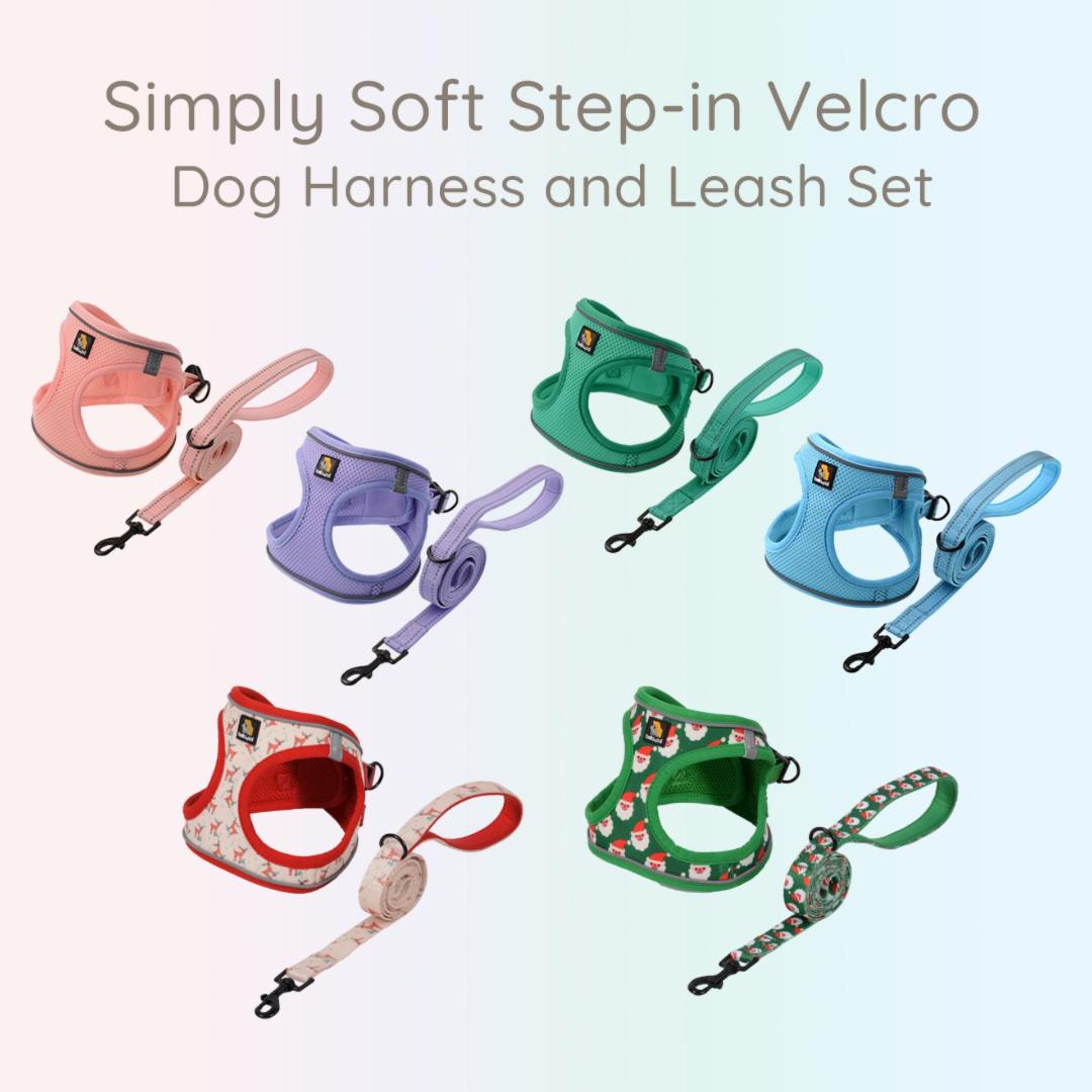 BELLA & PAL Puppy Harness with Leash Set, Dog Harness for Small Dogs No ...