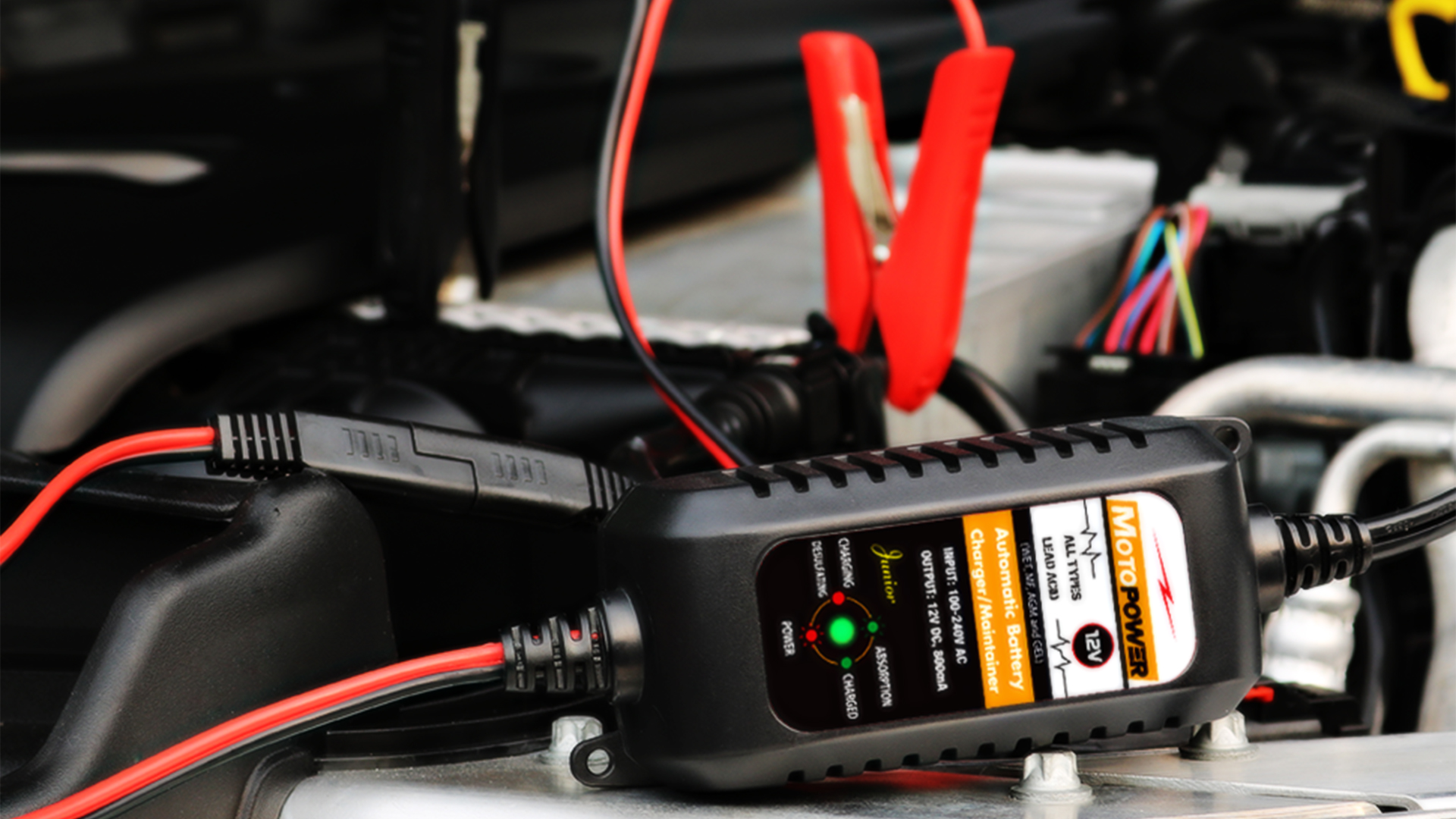 Motopower 12V 800mA Fully Automatic Battery Charger Maintainer ...